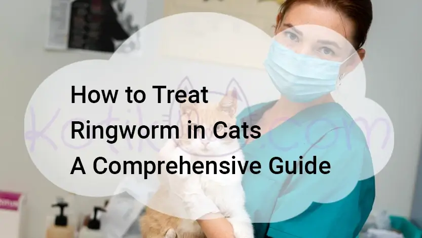 How to Treat Ringworm in Cats: A Comprehensive Guide - Kotikmeow